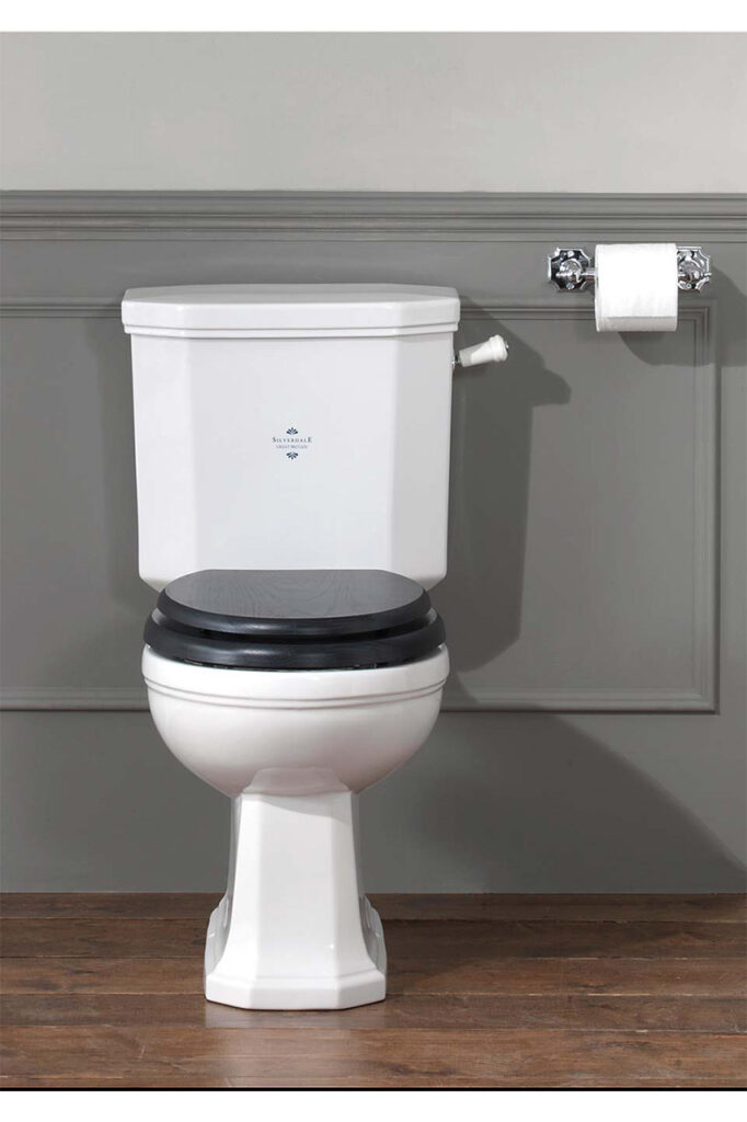 Elegantes Wc Mit Aufgesetztem Spulkasten Ebenbild